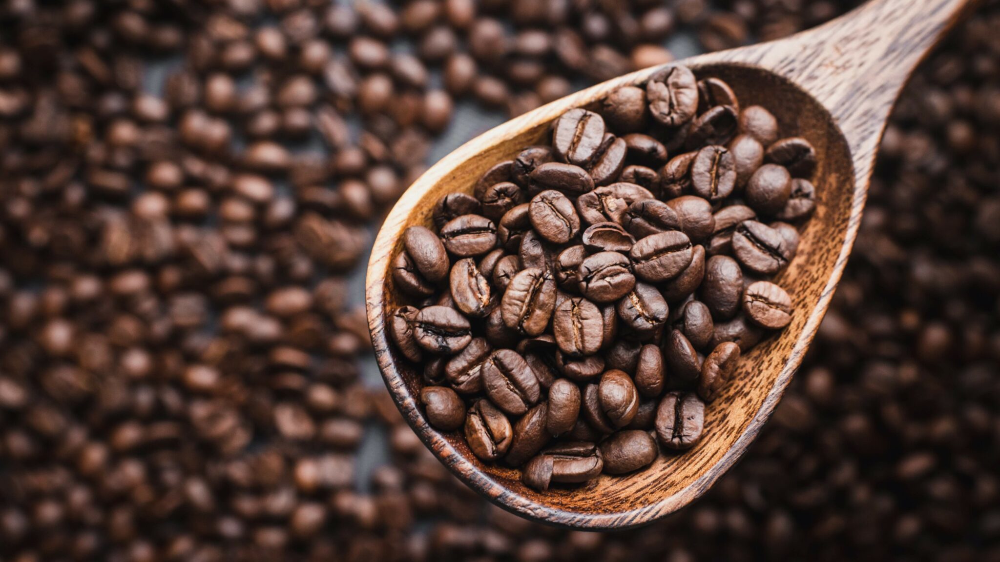 Was passiert mit dem Koffein aus entkoffeiniertem Kaffee? - gika Magazin